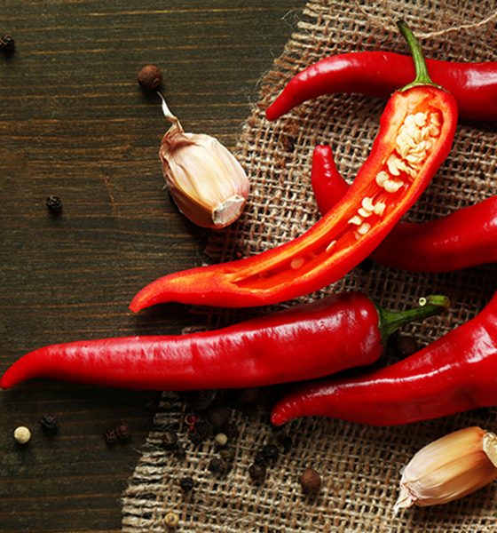 Chicken Rustica with Spicy Marinara Recipe | Bertolli